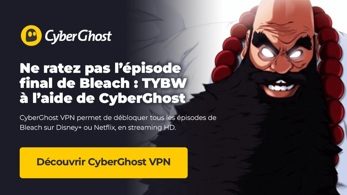Regarder Bleach épisode final en streaming avec cette technique