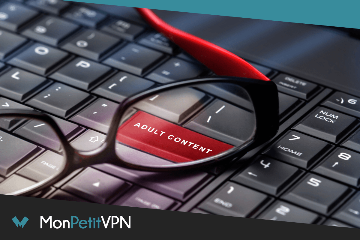 Pornographie : après le lancement du VPN gratuit chez Free, l'Arcom saisit par un député